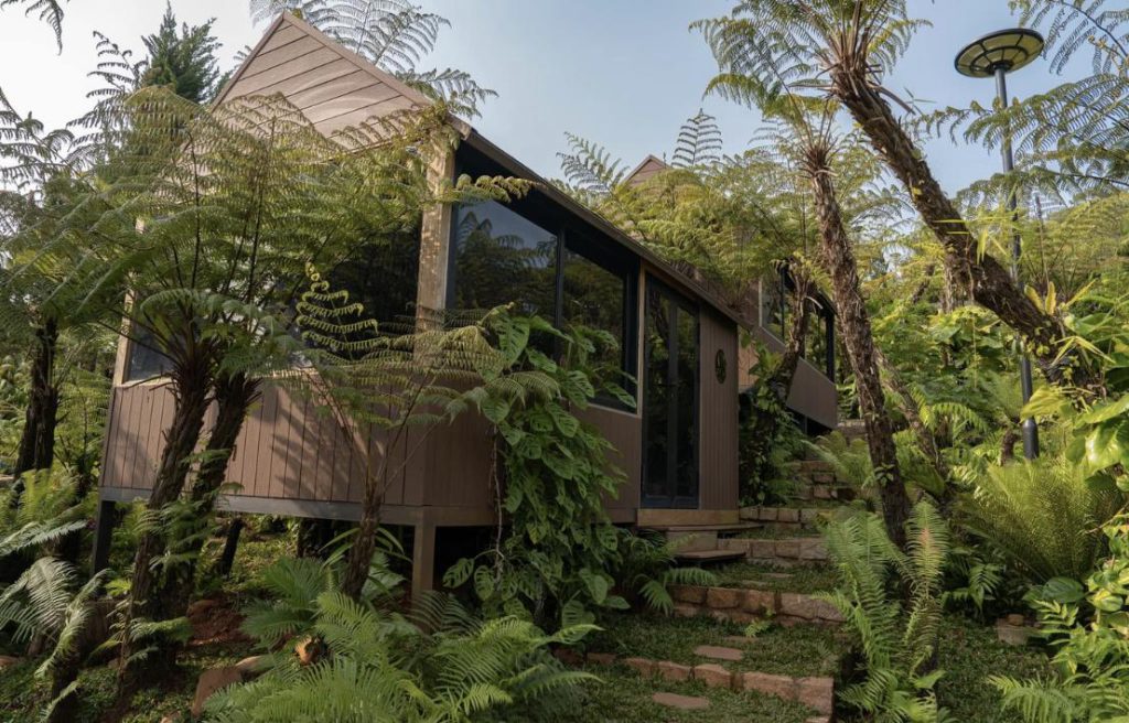 Nhà Mini Là Gì? Tổng Hợp những Thiết Kế Nhà Mini Đẹp Nhất 2025 ...