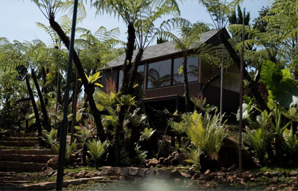 Nhà Mini Là Gì? Tổng Hợp những Thiết Kế Nhà Mini Đẹp Nhất 2025 ...